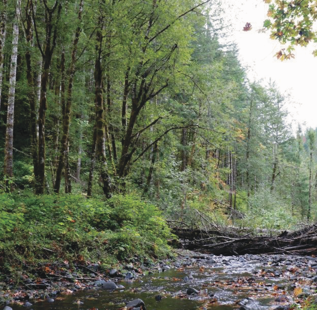 WDMA Releases 2024 U.S. Market Study | Resources | ForestSource