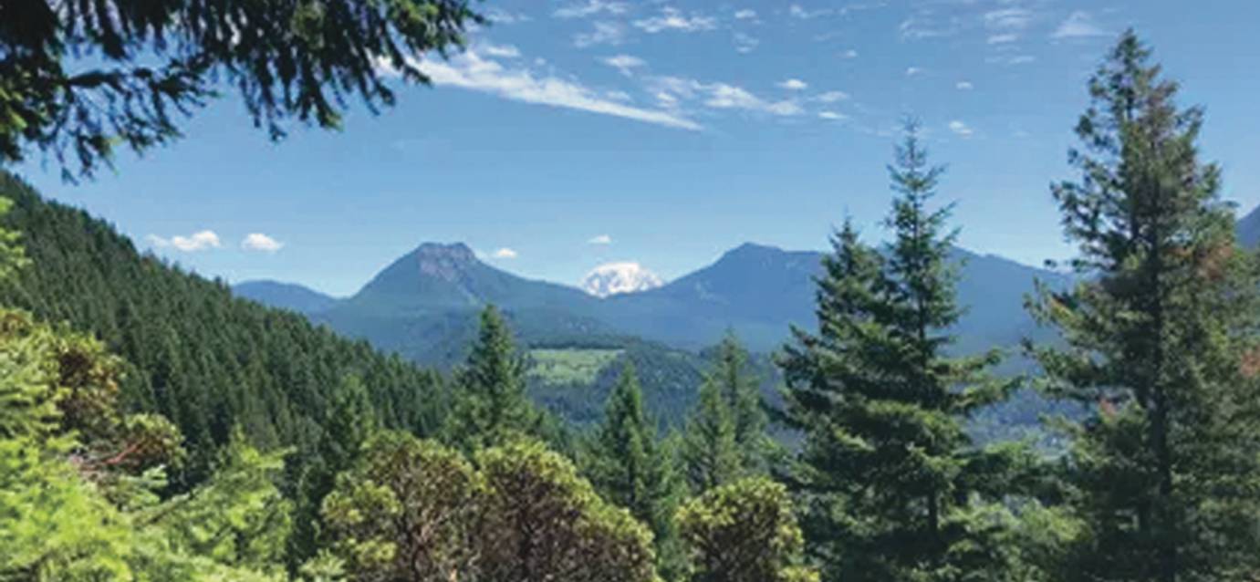 Randle - HAMPTON LUMBER