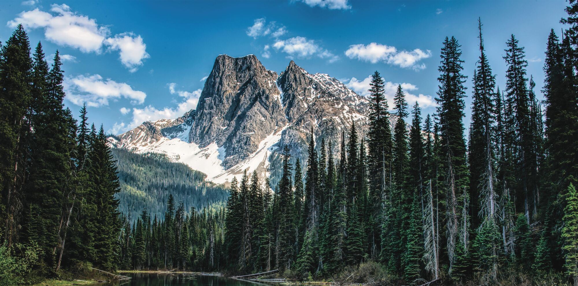 Burns Lake - HAMPTON LUMBER