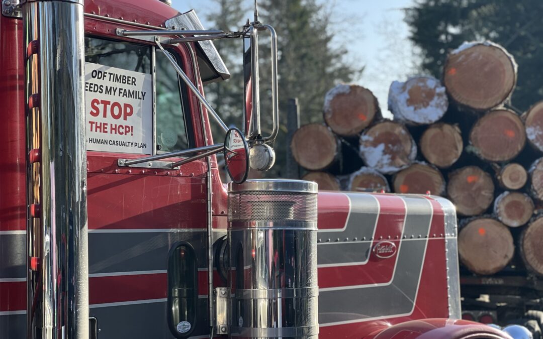 RELEASE: Hampton Lumber responds to Board of Forestry decision to ...