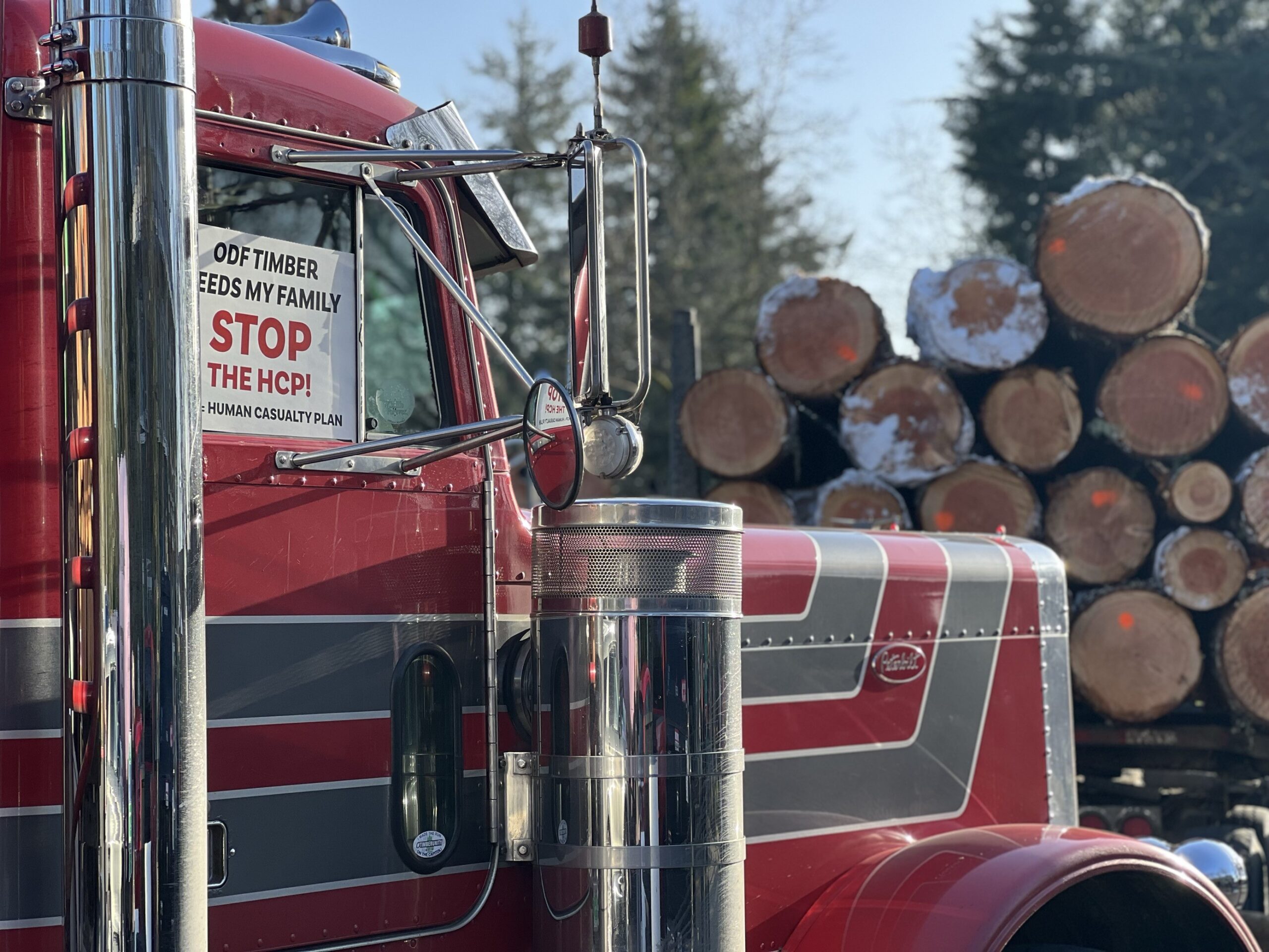 Hampton Lumber responds to approval of Oregon State Forest Habitat ...