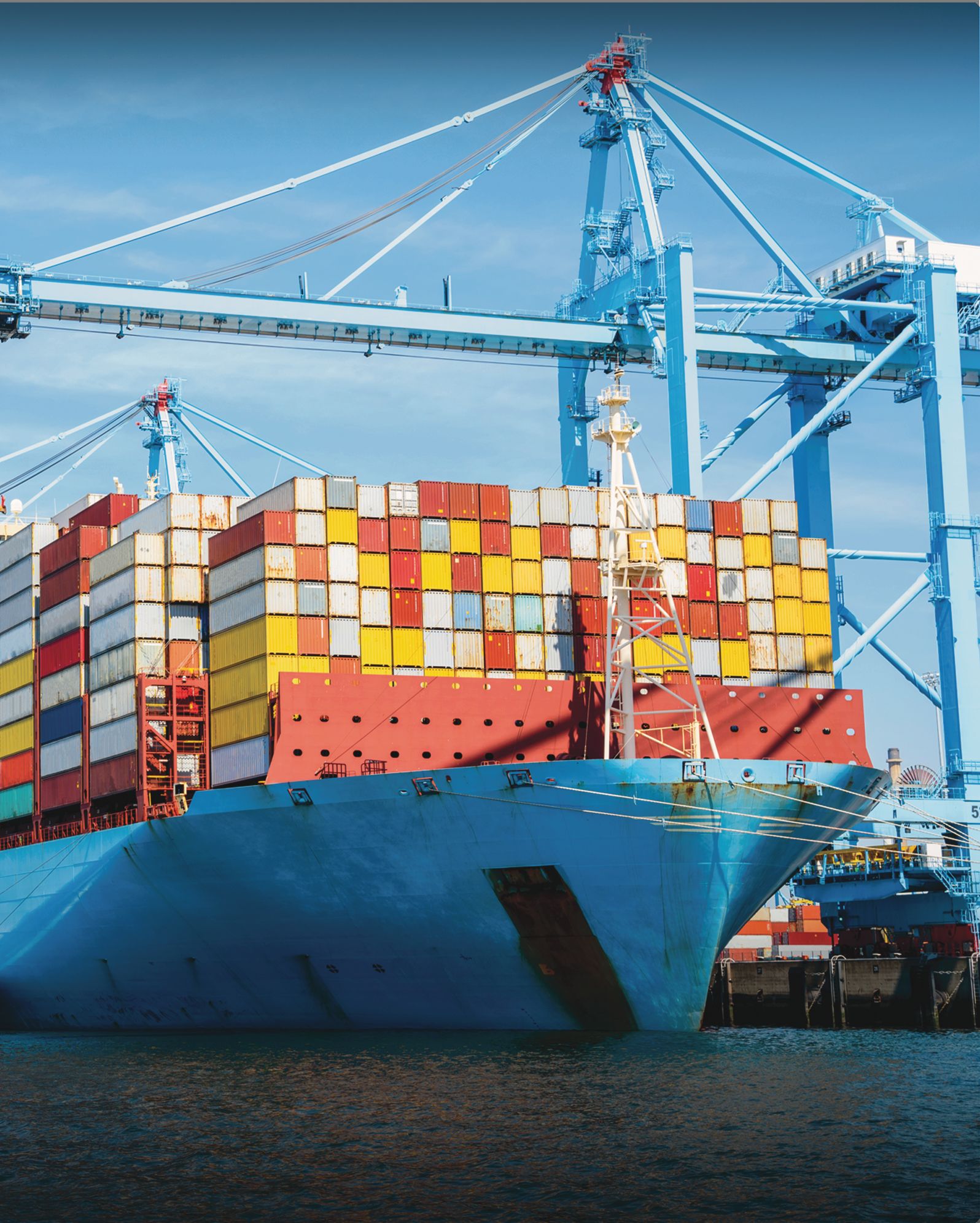 Trans-Pacific Trading now TRAPA Forest Products - HAMPTON LUMBER