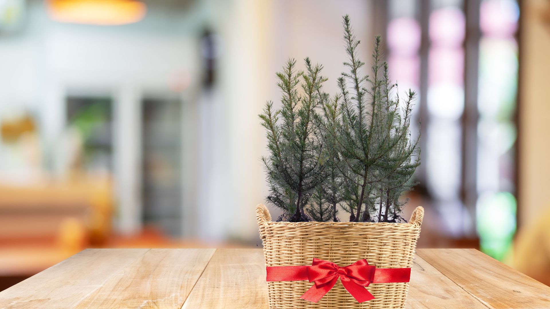 Hampton Lumber Launches "Future Home" Product Line - HAMPTON LUMBER